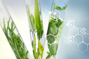 Home - MIAVIT – The Art of Mixture.